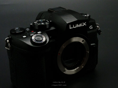 Panasonic DC-G99Dを買った | 1521